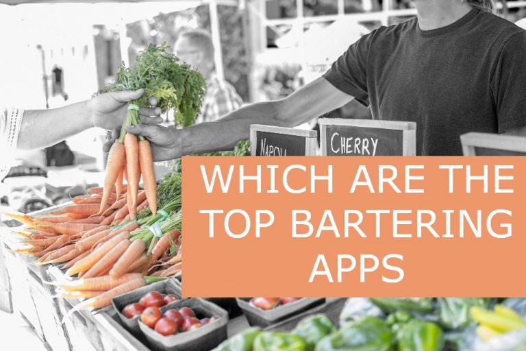 Top 6 Online Bartering Apps for Easy Swapping